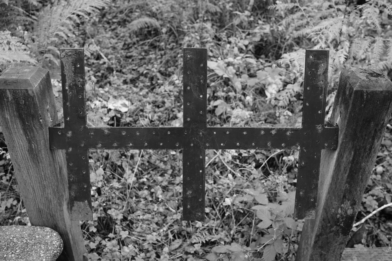 Theler Wetlands: Selected Images from Belfair, Washington (Part 2 ...